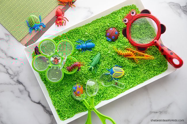 Bug Sensory Bin - The Best Ideas for Kids