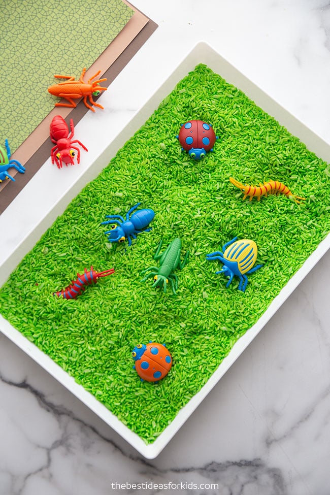 Bug Sensory Bin - The Best Ideas for Kids