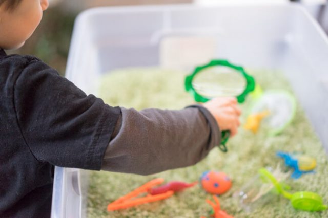 Bug Sensory Bin - The Best Ideas for Kids