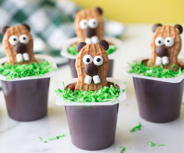 Groundhog Day I Spy (Free Printable) - The Best Ideas for Kids