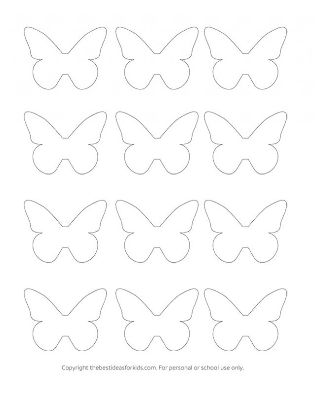 Butterfly Template - The Best Ideas for Kids