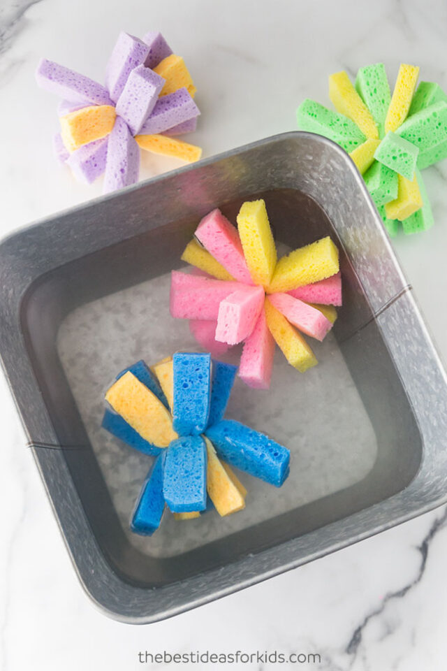 Sponge Ball - The Best Ideas for Kids