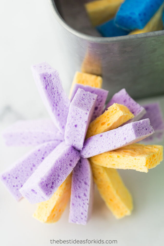 Sponge Ball - The Best Ideas for Kids