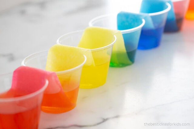 Walking Water Experiment - The Best Ideas for Kids