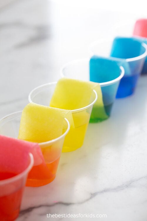 Walking Water Experiment - The Best Ideas for Kids