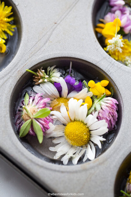 Frozen Flowers Sensory Play - The Best Ideas for Kids