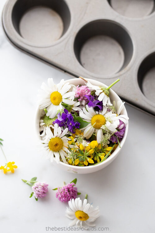 Frozen Flowers Sensory Play - The Best Ideas for Kids