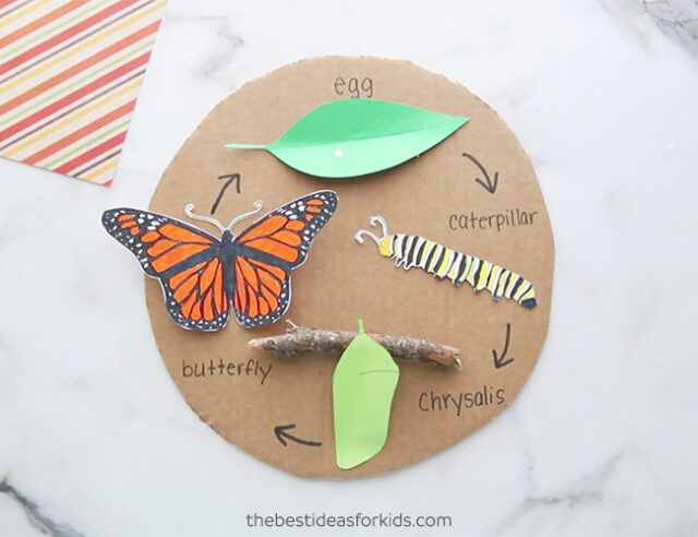 Butterfly Life Cycle Craft (Free Printable) - The Best Ideas for Kids