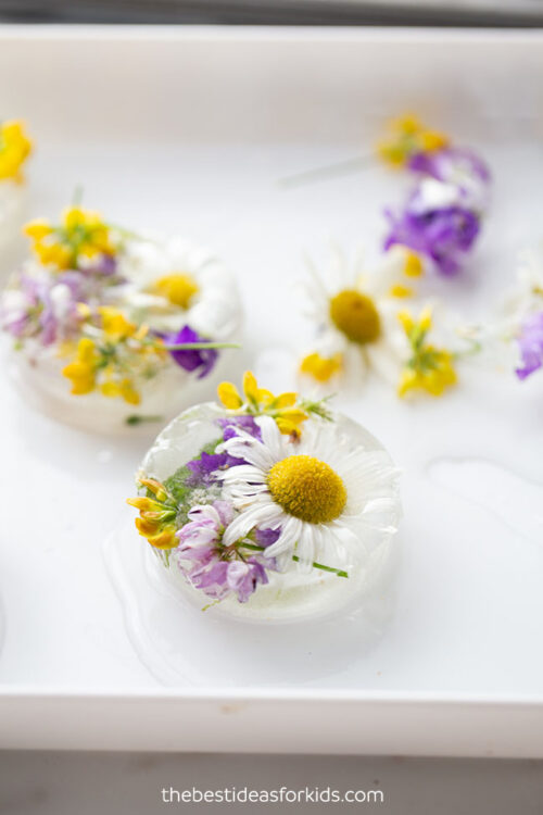 Frozen Flowers Sensory Play - The Best Ideas for Kids