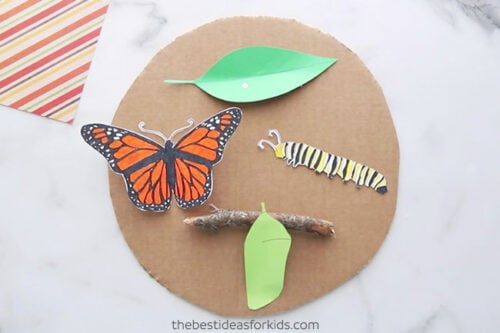 Butterfly Life Cycle Craft (Free Printable) - The Best Ideas for Kids