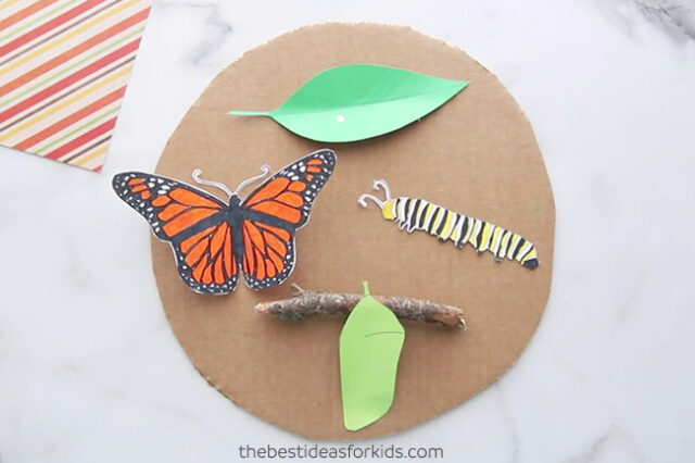 Butterfly Life Cycle Craft (Free Printable) - The Best Ideas for Kids