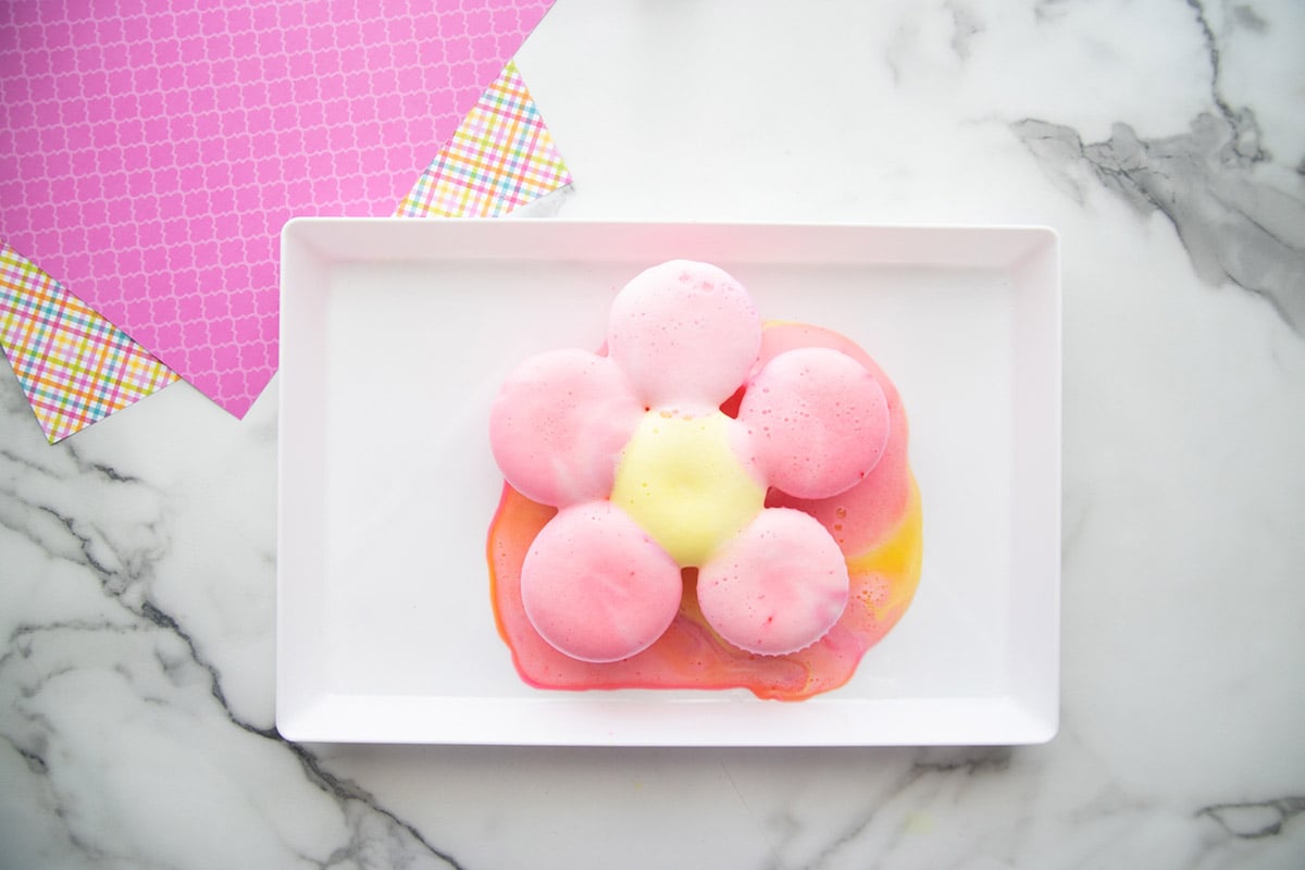 Fizzy Flower Experiment - The Best Ideas for Kids