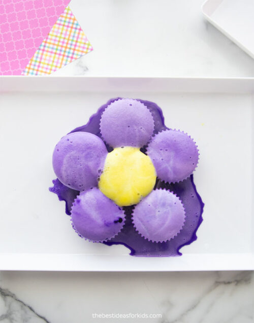 Fizzy Flower Experiment - The Best Ideas for Kids