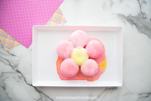 Fizzy Flower Experiment - The Best Ideas for Kids