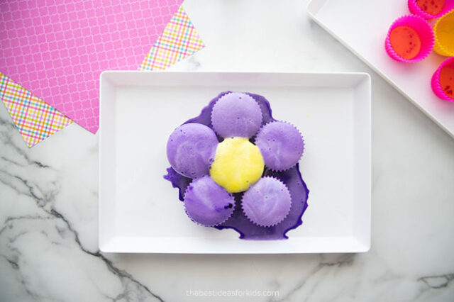 Fizzy Flower Experiment - The Best Ideas for Kids