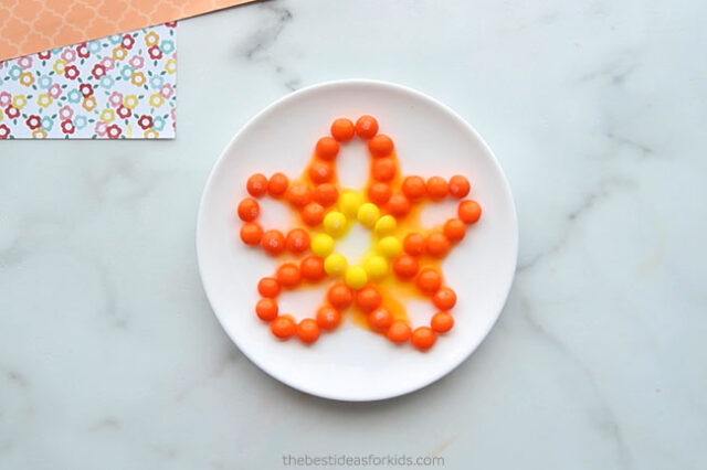 Skittles Experiment - The Best Ideas for Kids