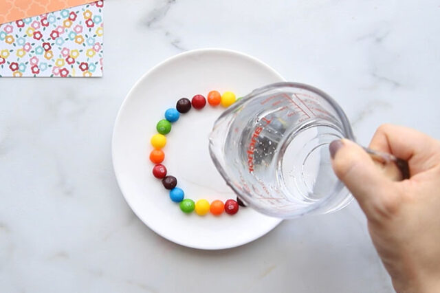 Skittles Experiment - The Best Ideas for Kids