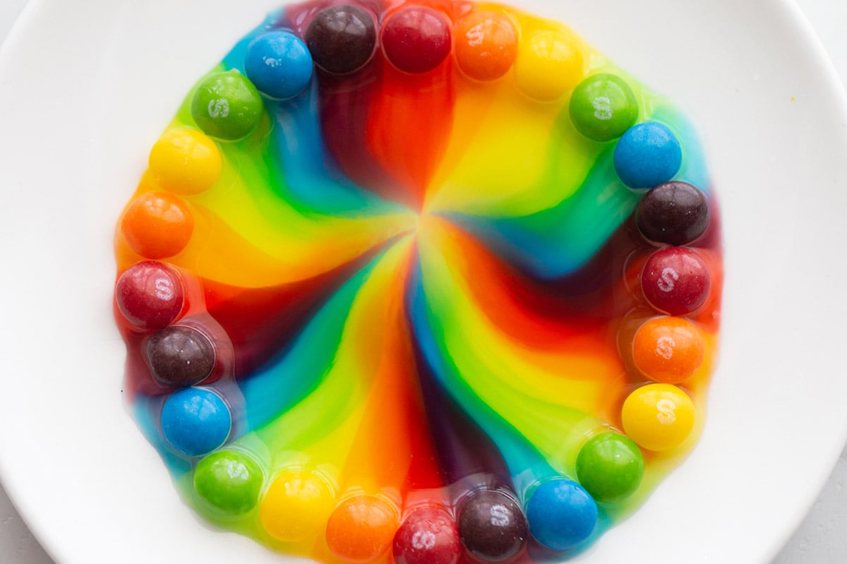 Skittles Experiment - The Best Ideas for Kids