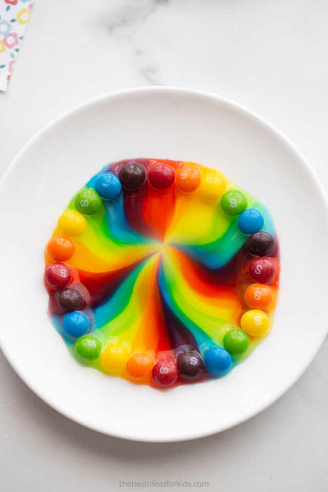 Skittles Experiment - The Best Ideas for Kids