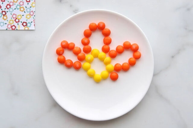 Skittles Experiment - The Best Ideas for Kids