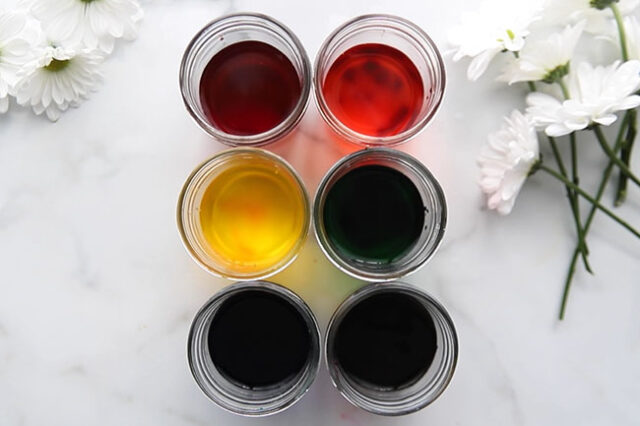 Color Changing Flowers - The Best Ideas for Kids