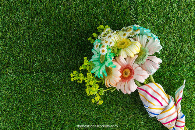 Color Changing Flowers - The Best Ideas for Kids