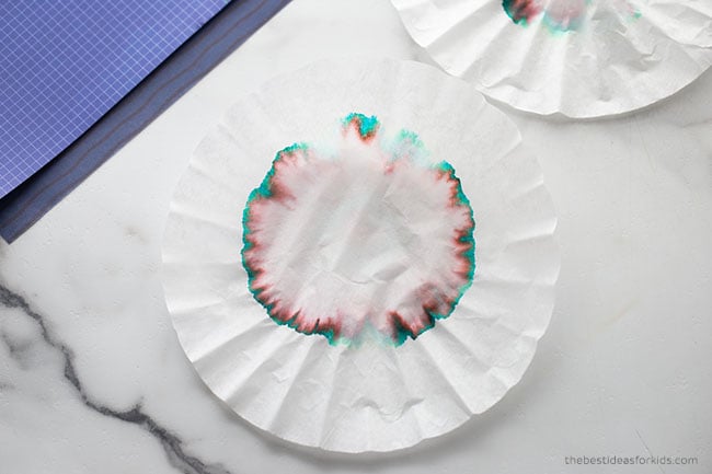 Coffee Filter Chromatography - The Best Ideas for Kids