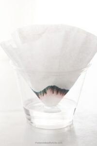Coffee Filter Chromatography - The Best Ideas for Kids