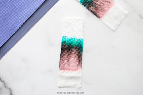 Coffee Filter Chromatography - The Best Ideas for Kids