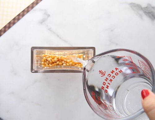 Dancing Corn Experiment - The Best Ideas for Kids