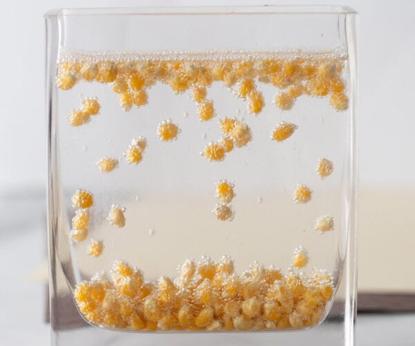 Pencil in Water Bag Experiment - The Best Ideas for Kids