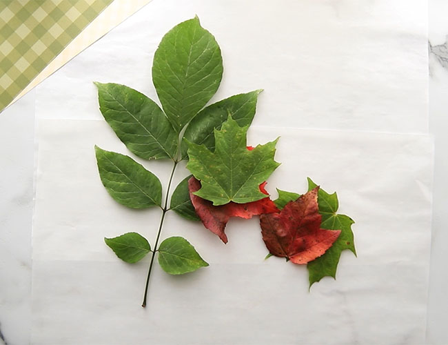 Leaf Spray Painting - The Best Ideas for Kids