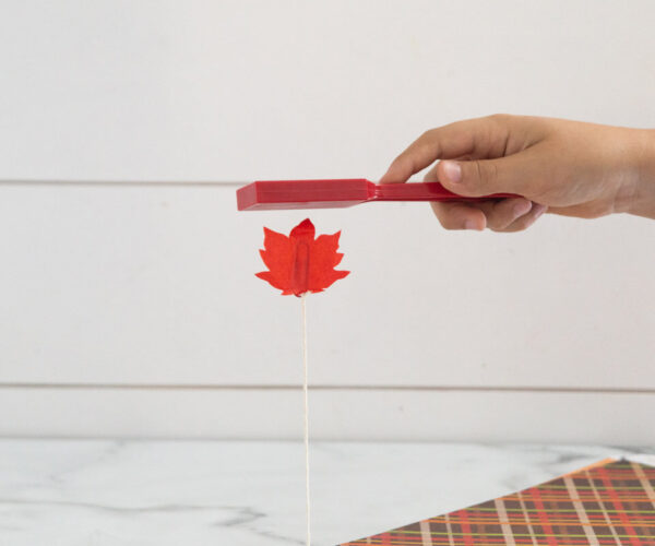 Pencil in Water Bag Experiment - The Best Ideas for Kids