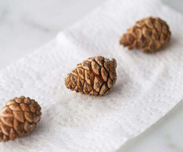 Science Activities for Kids | The Best Ideas for Kids