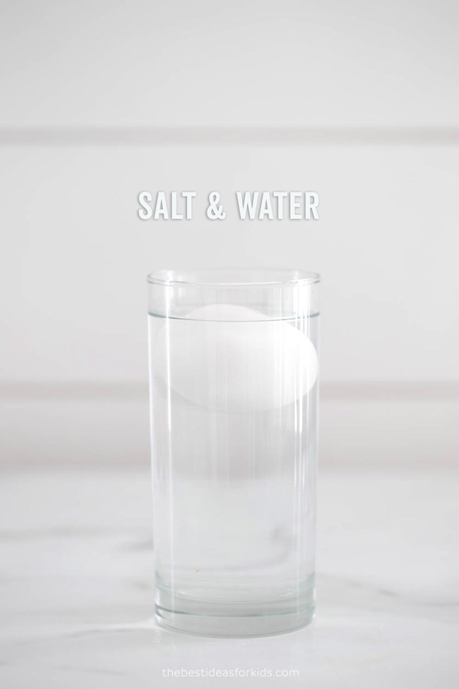 Floating Egg Experiment - The Best Ideas for Kids