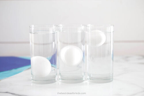 Floating Egg Experiment - The Best Ideas for Kids
