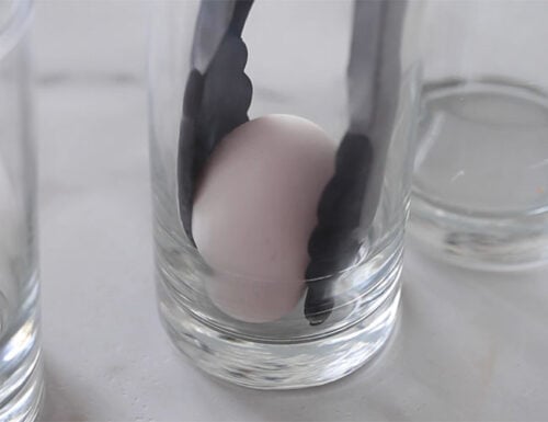 Floating Egg Experiment - The Best Ideas for Kids