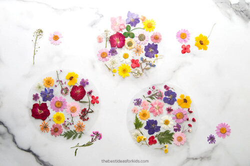 Pressed Flower Suncatcher - The Best Ideas for Kids