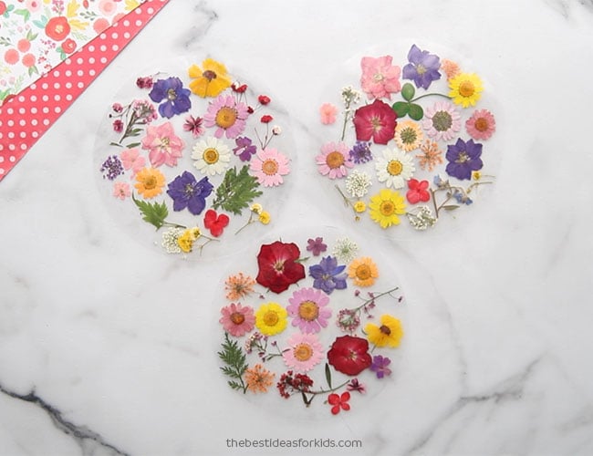 Pressed Flower Suncatcher - The Best Ideas for Kids
