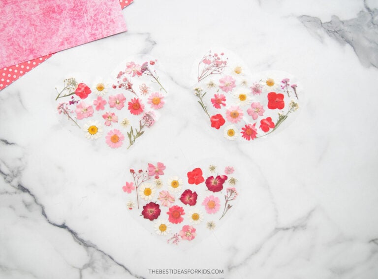 Pressed Flower Suncatcher - The Best Ideas for Kids