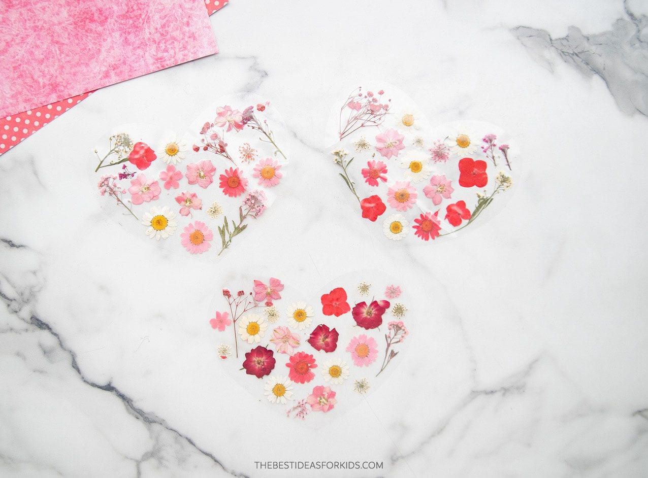 Pressed Flower Suncatcher - The Best Ideas for Kids