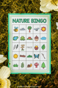 Nature Bingo (Free Printables) - The Best Ideas for Kids