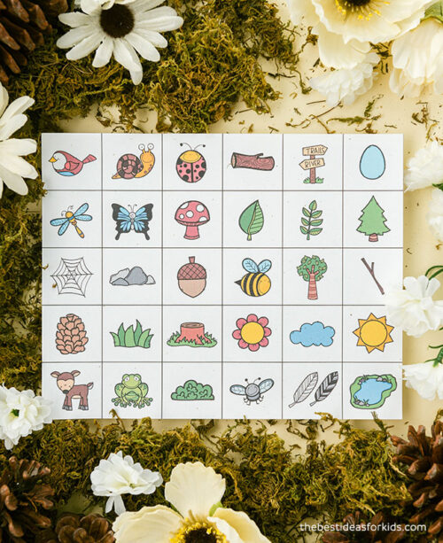 Nature Bingo (Free Printables) - The Best Ideas for Kids