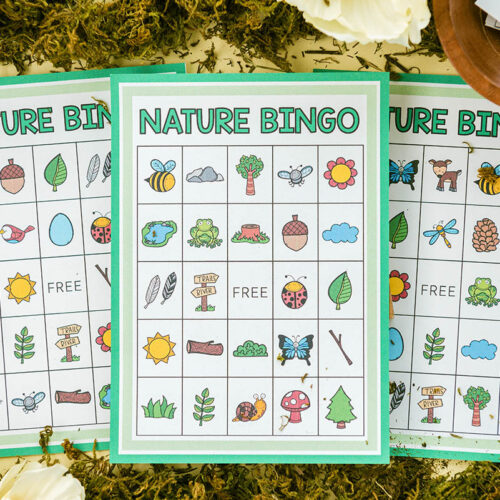 Bug Bingo (Free Printables) - The Best Ideas for Kids