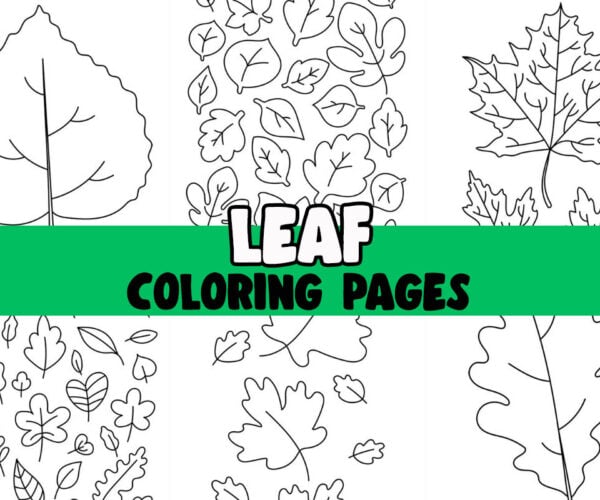 Owl Coloring Pages (Free Printables) - The Best Ideas for Kids