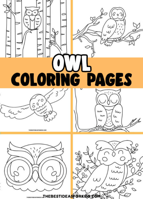 Owl Coloring Pages (Free Printables) - The Best Ideas for Kids