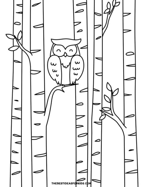 Owl Coloring Pages (Free Printables) - The Best Ideas for Kids