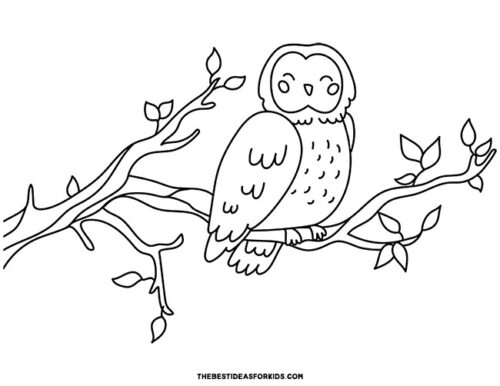 Owl Coloring Pages (Free Printables) - The Best Ideas for Kids