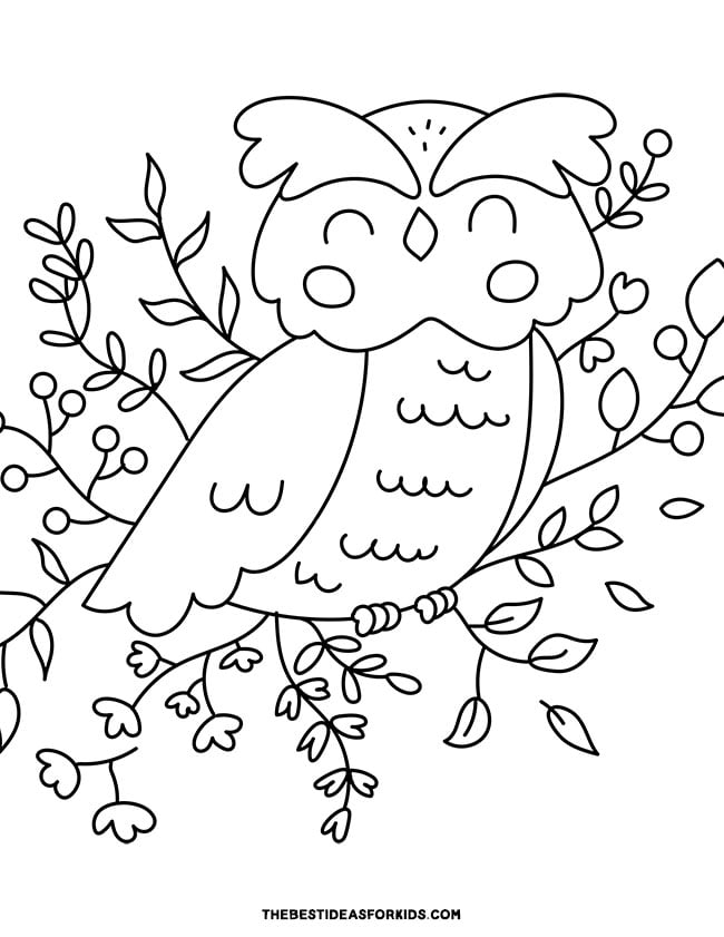 Owl Coloring Pages (Free Printables) - The Best Ideas for Kids