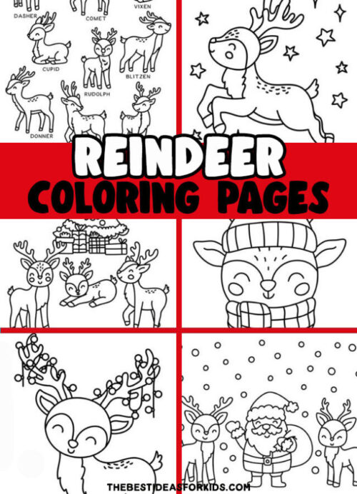 Reindeer Coloring Pages (Free Printables) - The Best Ideas for Kids